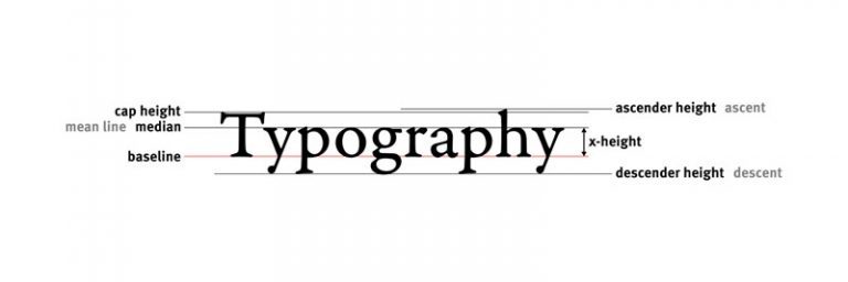 Typography terms and rules that every designer should know - WhatFontIs ...