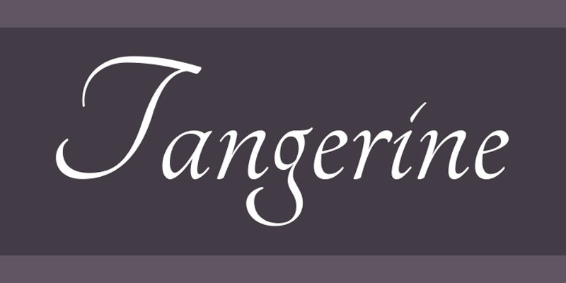 Free script font examples that you should check out - WhatFontIs.com ...