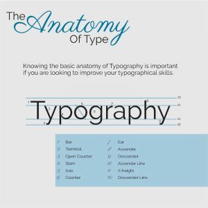Typography terms and rules that every designer should know - WhatFontIs ...