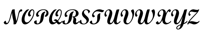 Script MT Bold Font | WhatFontis.com